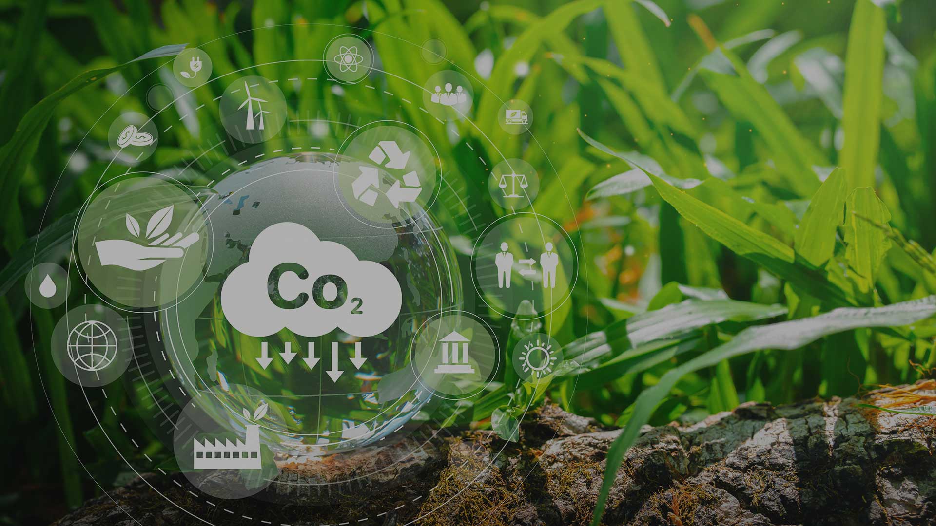 Scope 1, 2 and 3 Emissions - Go Green Experts